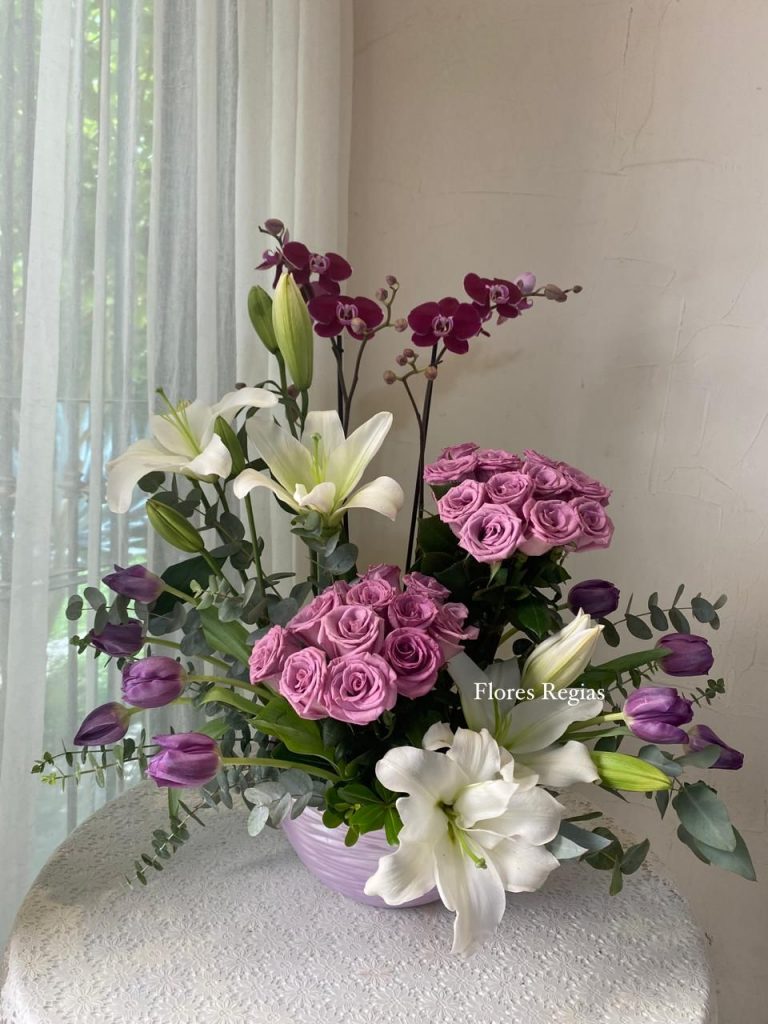 orquideas Phalaenopsis, Rosas & Tulipanes Morado - Flores Regias